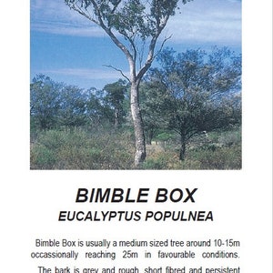 Bimble Box Burl Bowl With Natural Live Edge - Etsy