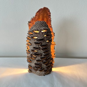 Banksia Dimmable Lamp With Natural Live Edge Ambient Light Lighting - Etsy