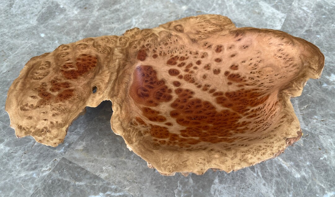 Coolibah Burl Bowl With Natural Live Edge - Etsy