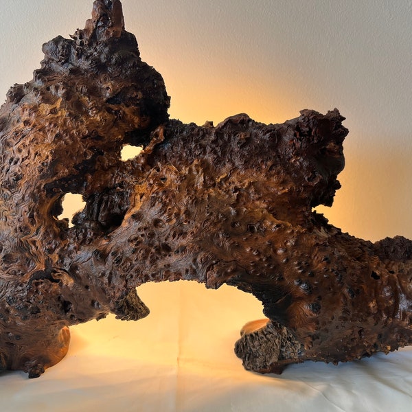 Live Edge Lighting - Etsy