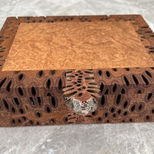 Bimble Box Burl and Banksia Box - Etsy