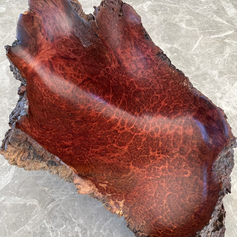 Burl - Etsy