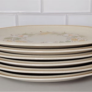Vintage Hearthside Garden Festival Dinner and Salad Plates, Set of 6 ...