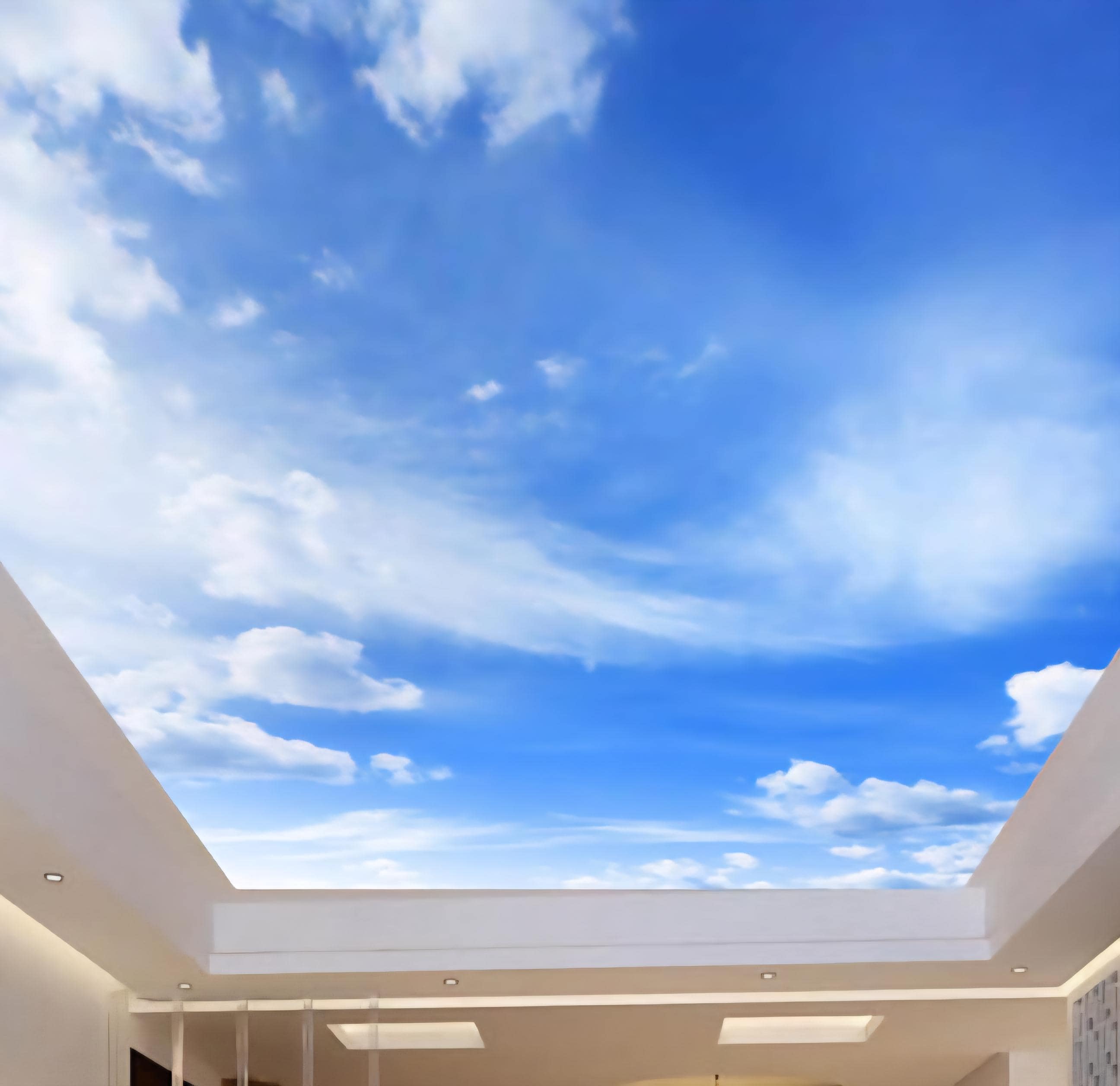 Blue Sky Ceiling Mural – Realistic Cloud Ceiling Wallpaper – Custom ...