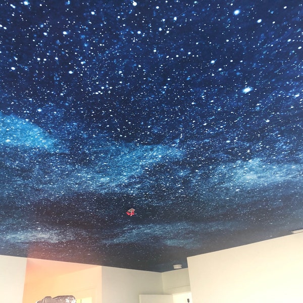 Ceiling Mural - Etsy