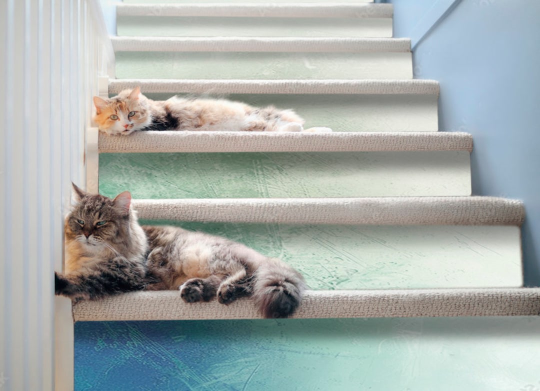 Gray Green Blue Turquoise Stairs Riser Self Adhesive Vinyl Stair Riser ...