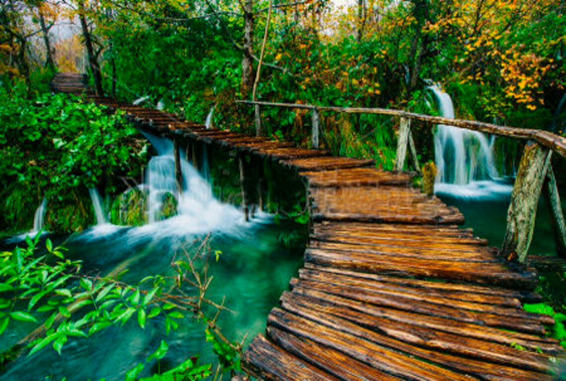Bridge to Waterfall Green Trees Tropical Nature Wallpaper 3D - Etsy