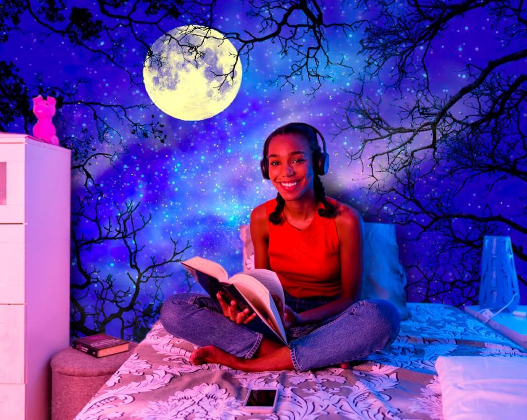 Night Stars Mural Moon on Sky Ceiling Decal Ceiling Decor Night Heavens ...