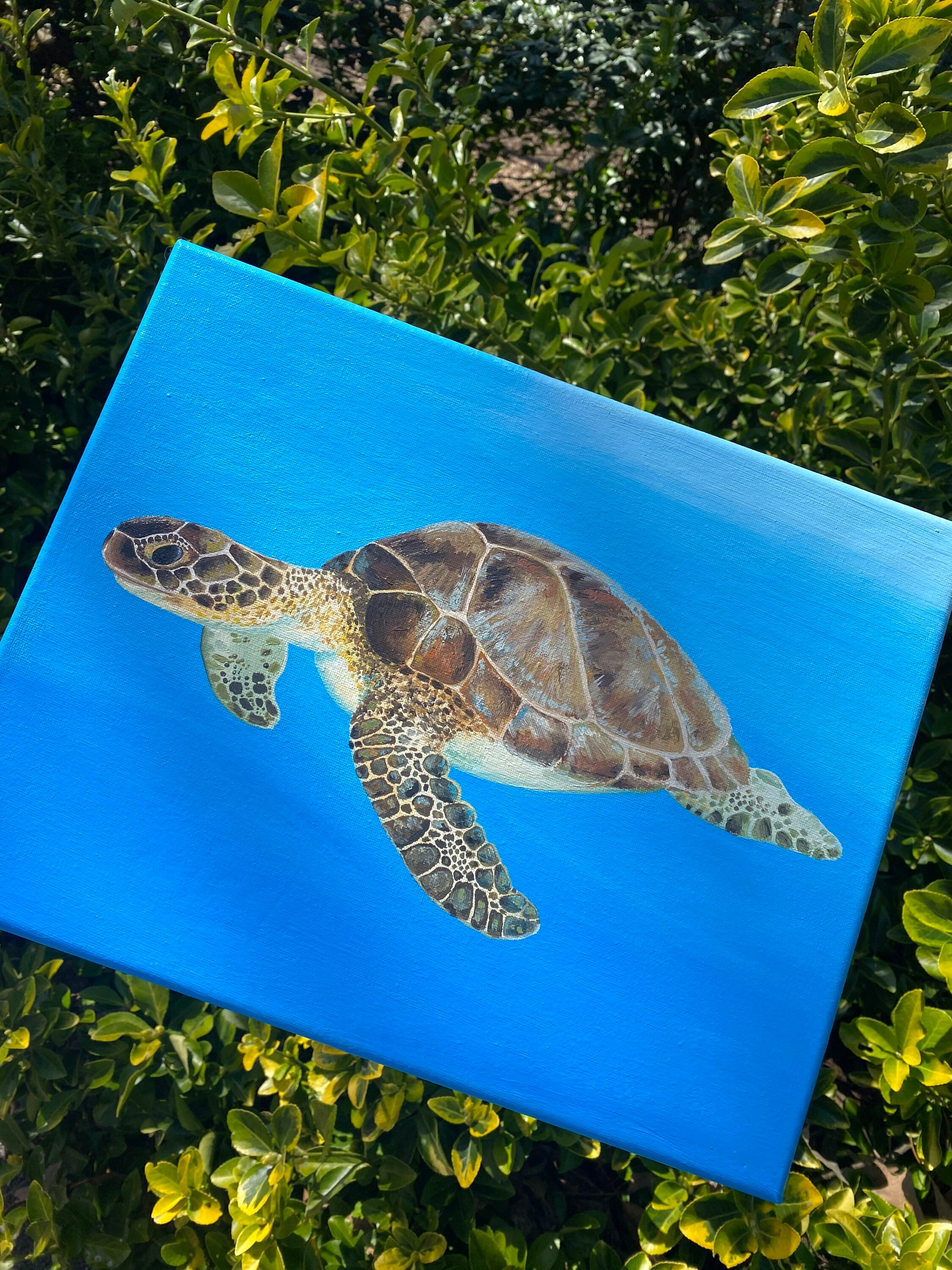 Realistic Sea Turtle Acrylic Painting on Canvas Under the Ocean Themed ...