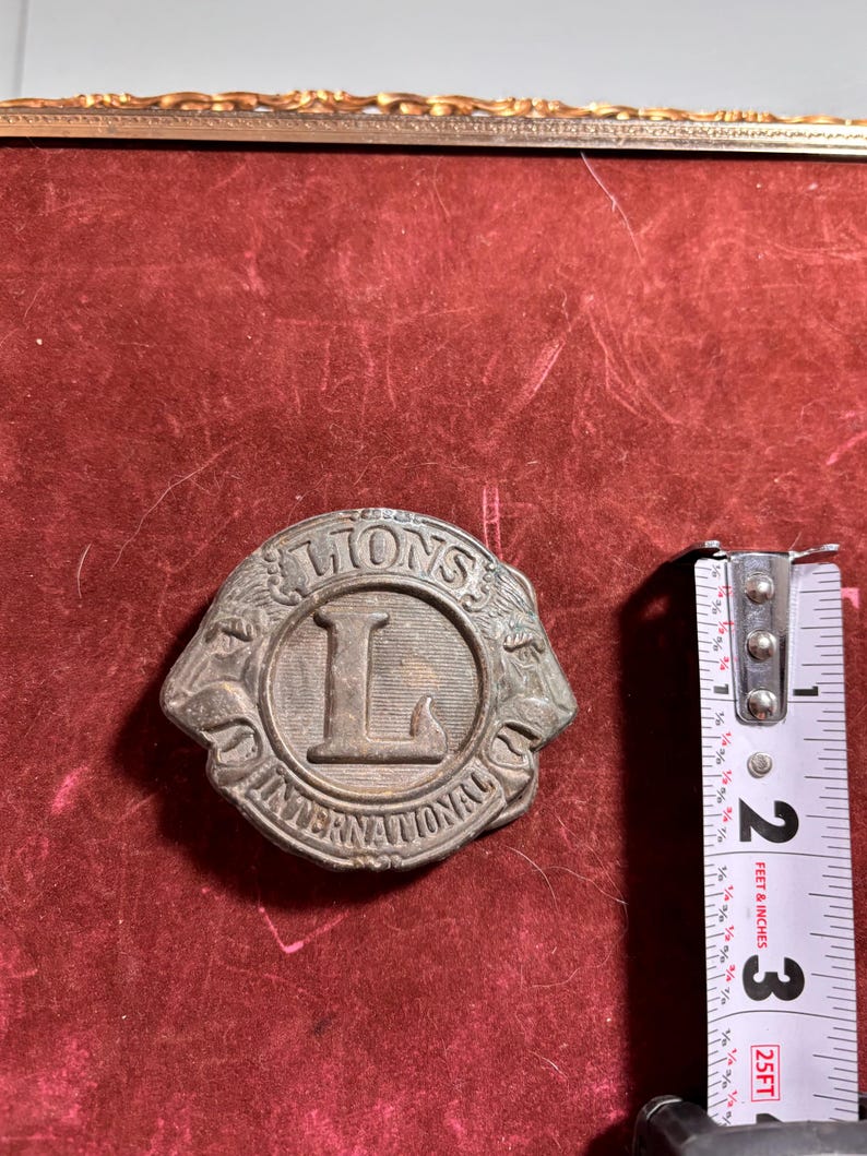Lions Clubs International Youth Service Member Logo - Etsy