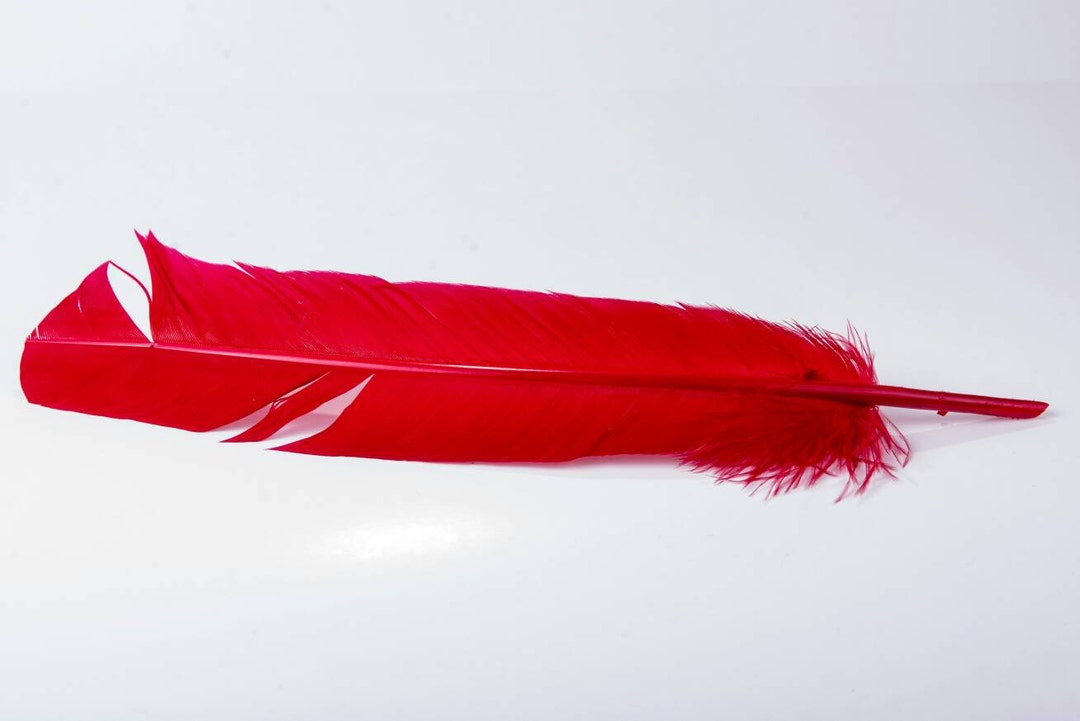 Red Quill Pen - Etsy