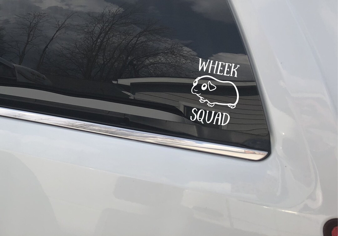 Wheek Squad Guinea Pig Guinea Squeak Squad - Etsy