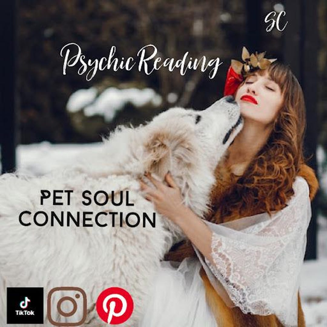 Psychic Reading for Your Pet: Present or Crossed Over Cats, Dogs, Birds ...