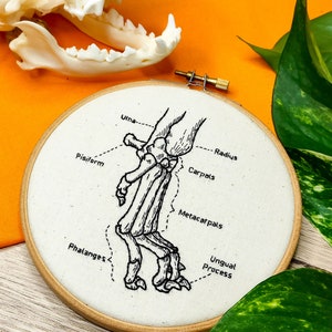 Labelled Canine | Dog Paw Anatomy PDF Embroidery Pattern - Etsy