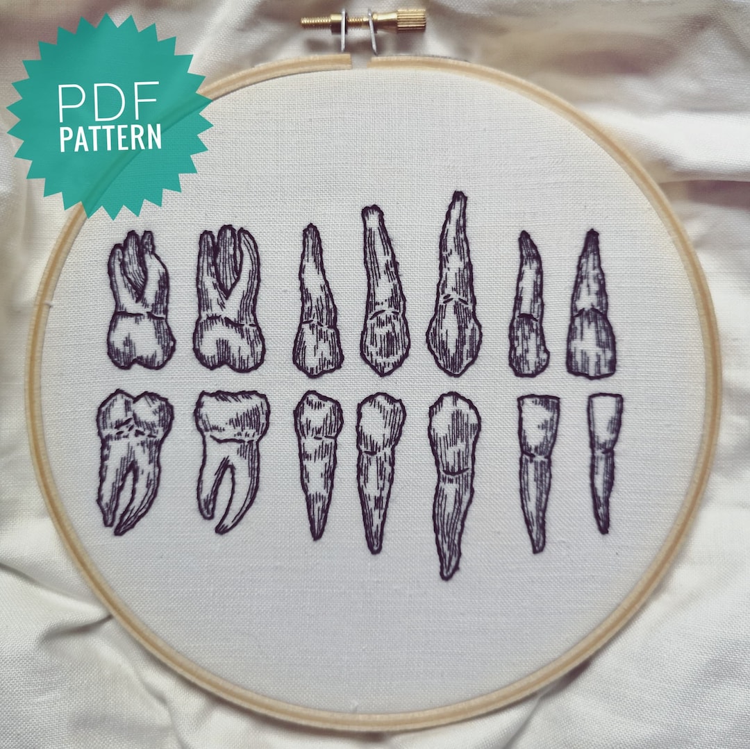 Human Teeth Anatomical PDF Embroidery Pattern - Etsy