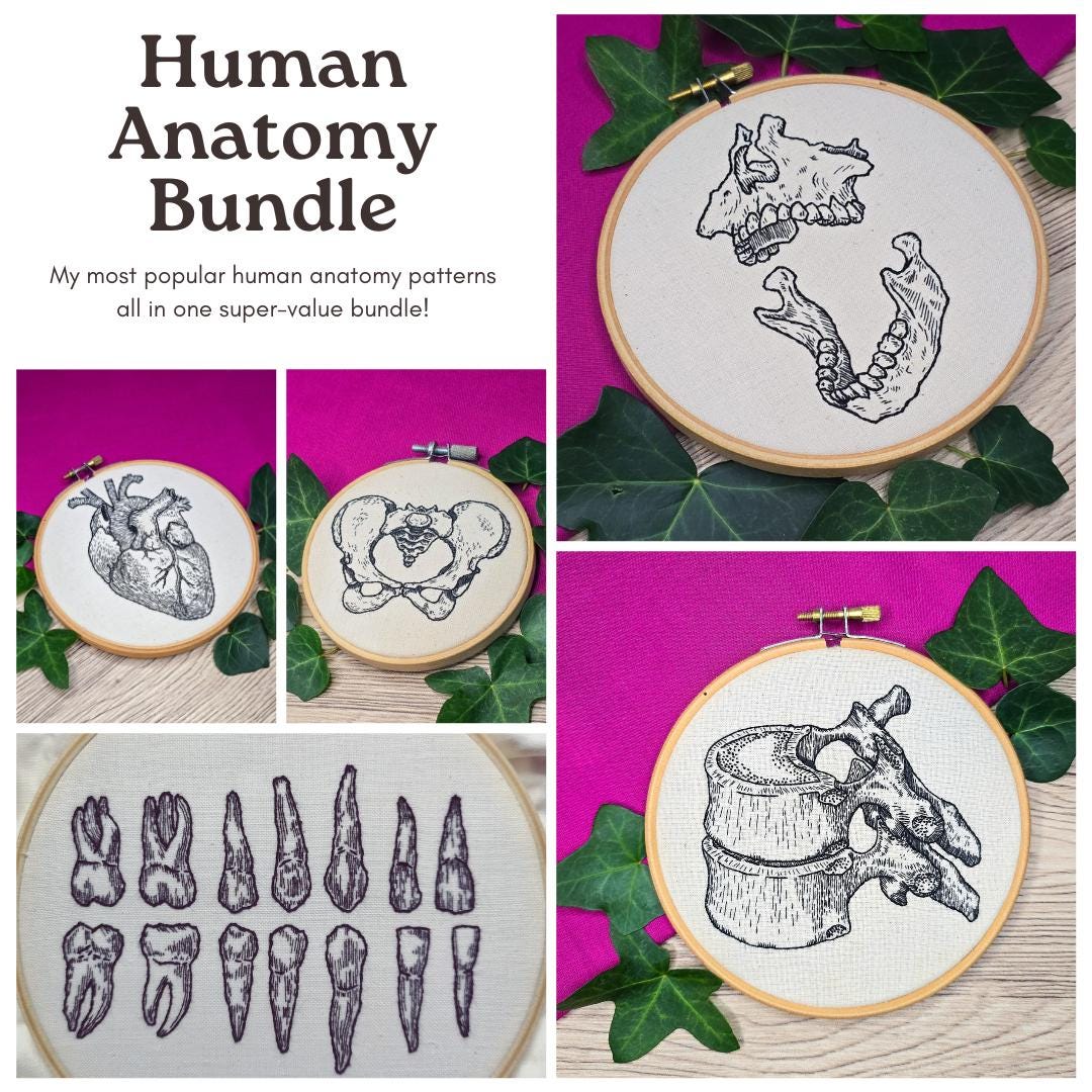 Human Anatomy Value Bundle PDF Embroidery Patterns - Etsy