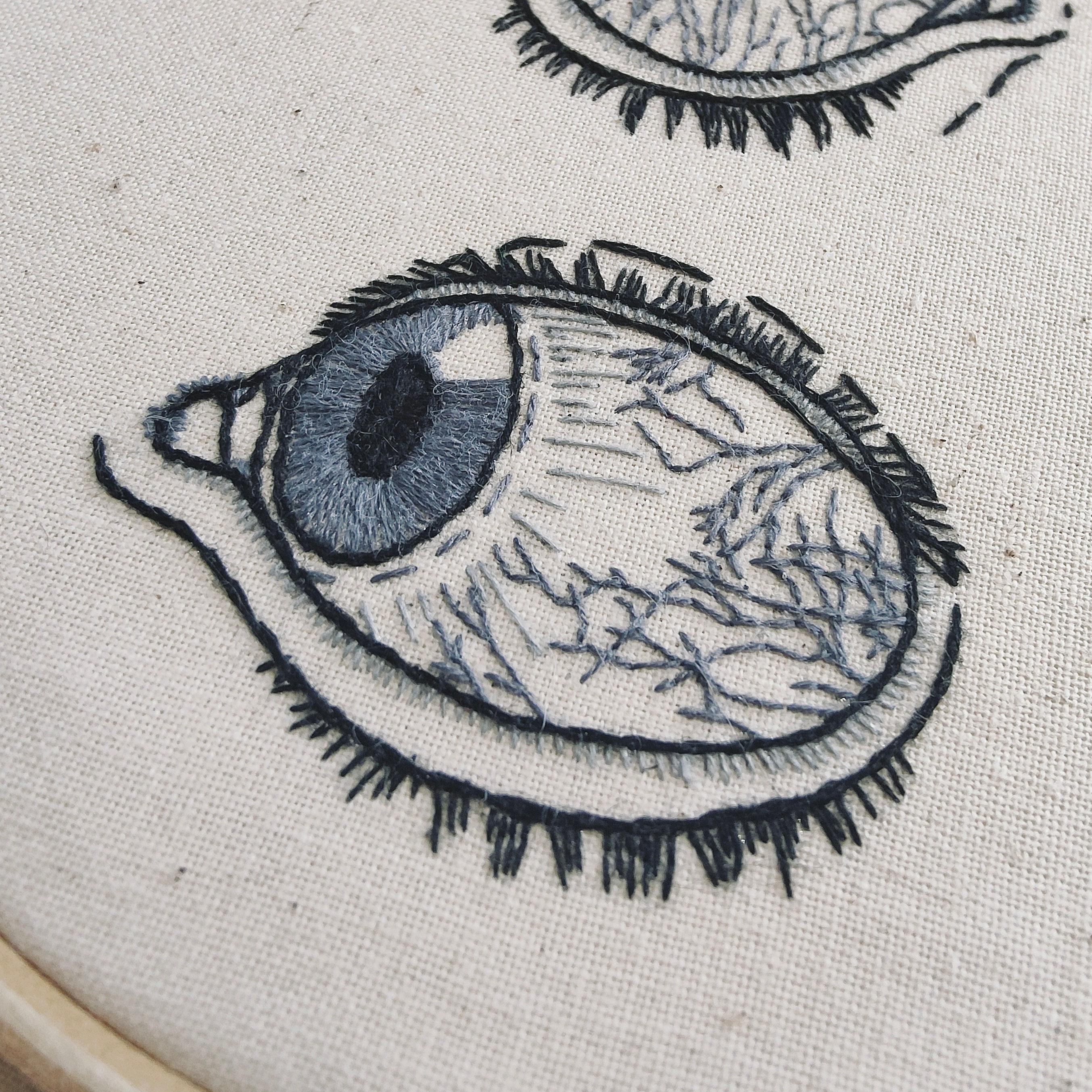 Human Eye Anatomical PDF Embroidery Pattern - Etsy