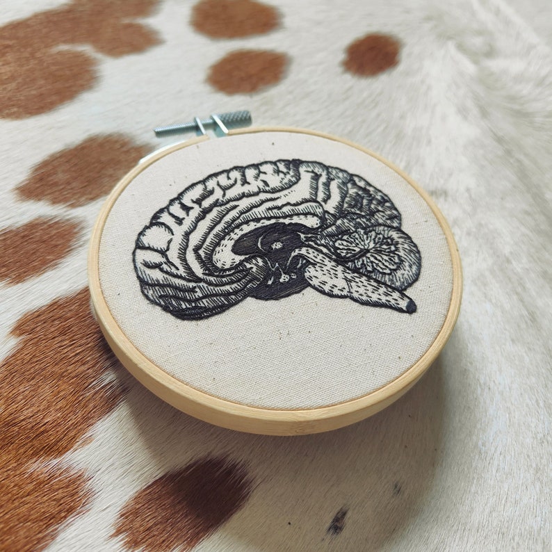 Human Brain Anatomical PDF Embroidery Pattern - Etsy