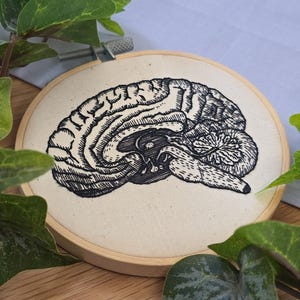 Human Brain Anatomy Embroidery Pattern PDF, Vintage Inspired - Etsy