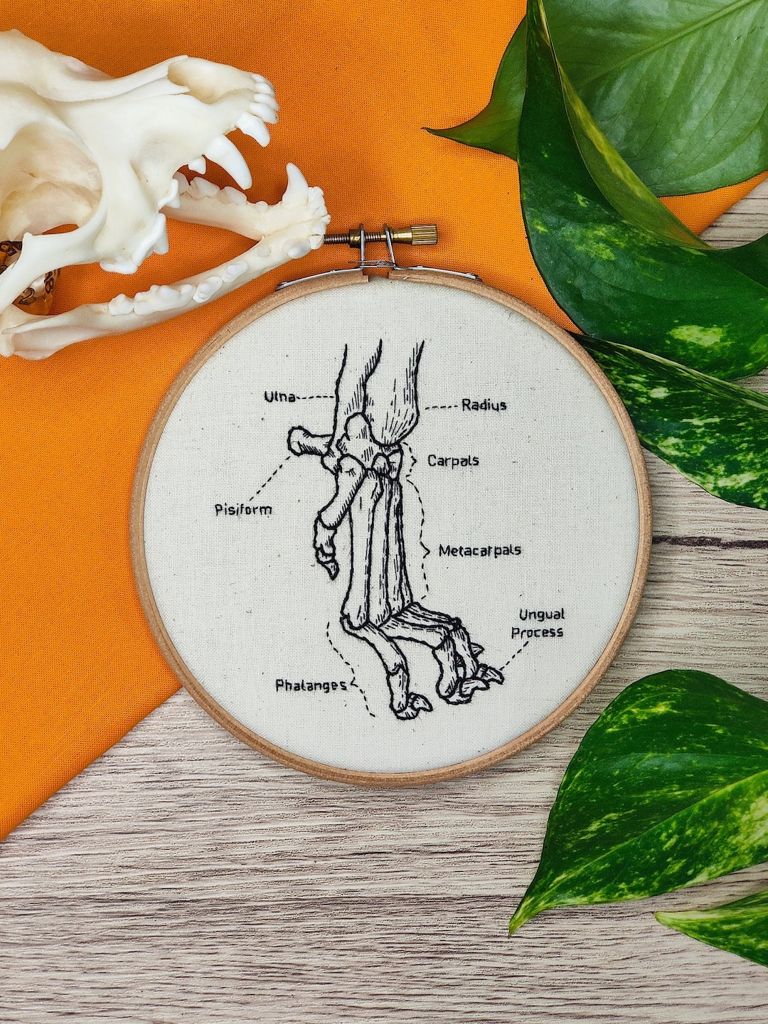 Labelled Canine | Dog Paw Anatomy PDF Embroidery Pattern - Etsy