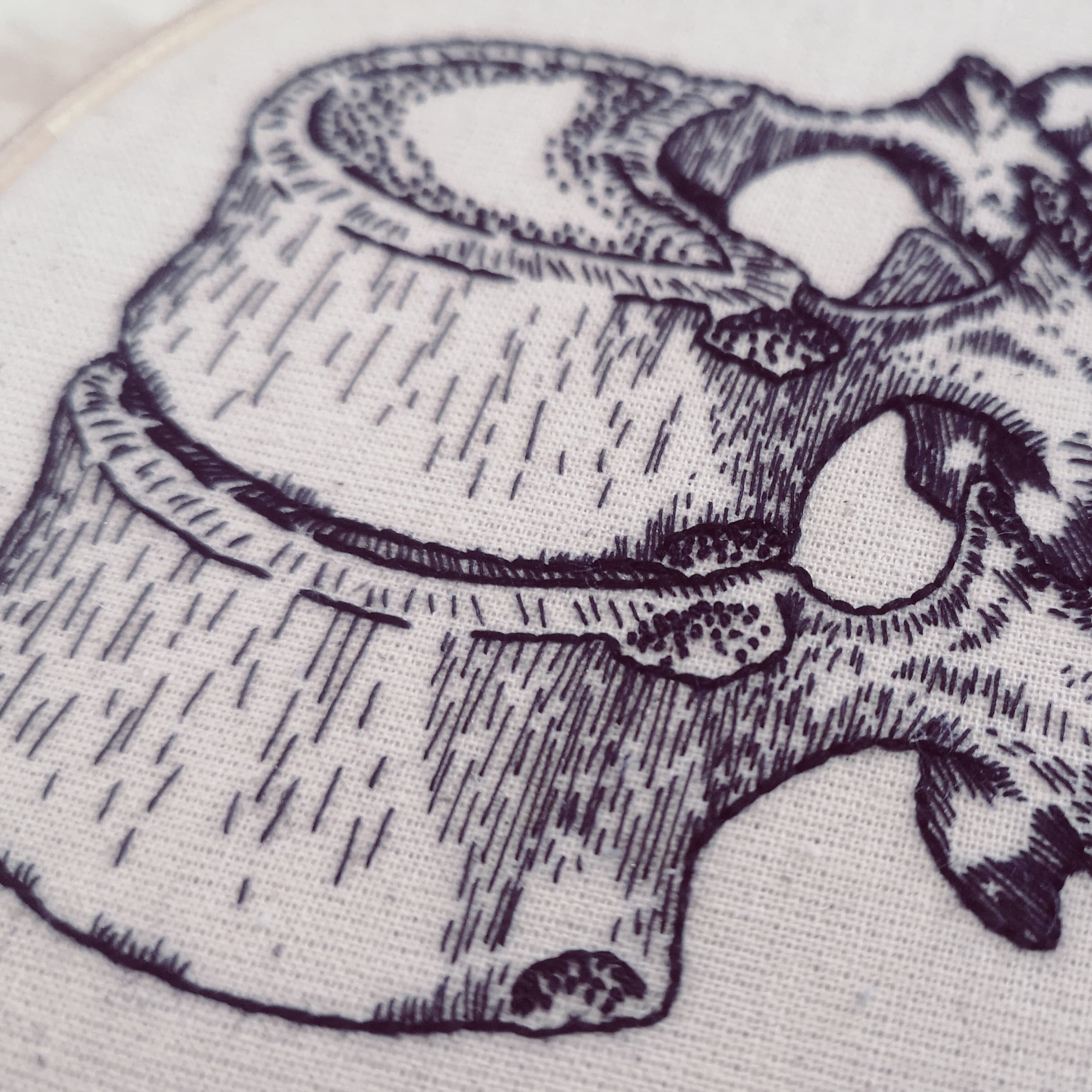 Human Spine Thoracic Vertebrae Anatomical PDF Embroidery | Etsy