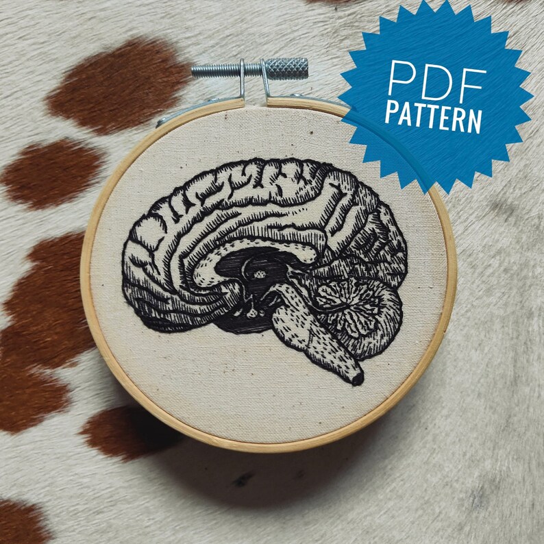 Human Brain Anatomical PDF Embroidery Pattern - Etsy