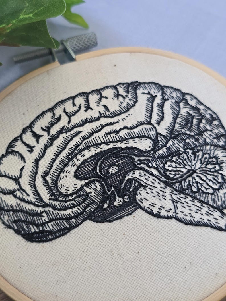 Human Brain Anatomy Embroidery Pattern PDF, Vintage Inspired - Etsy