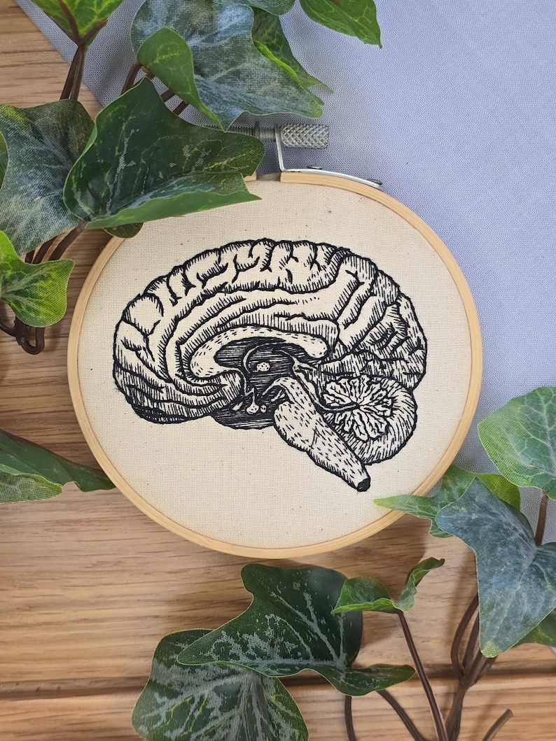 Human Brain Anatomy Embroidery Pattern PDF, Vintage Inspired - Etsy