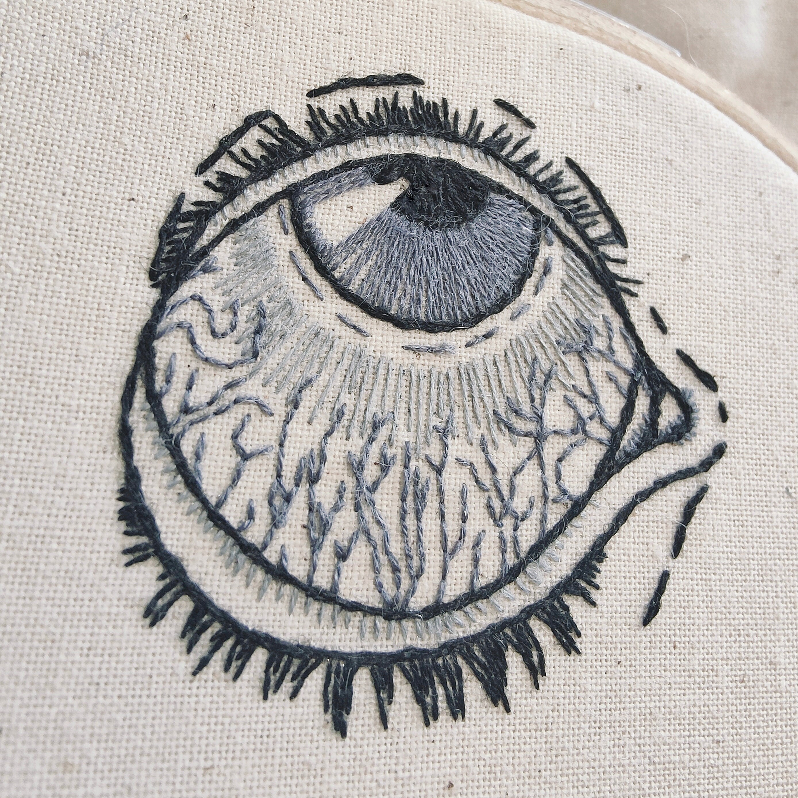 Human Eye Anatomical PDF Embroidery Pattern - Etsy