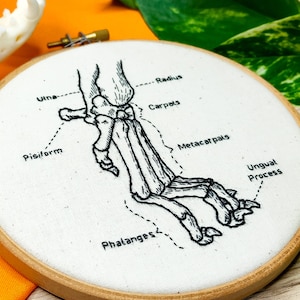 Labelled Canine Dog Paw Anatomy PDF Embroidery Pattern - Etsy