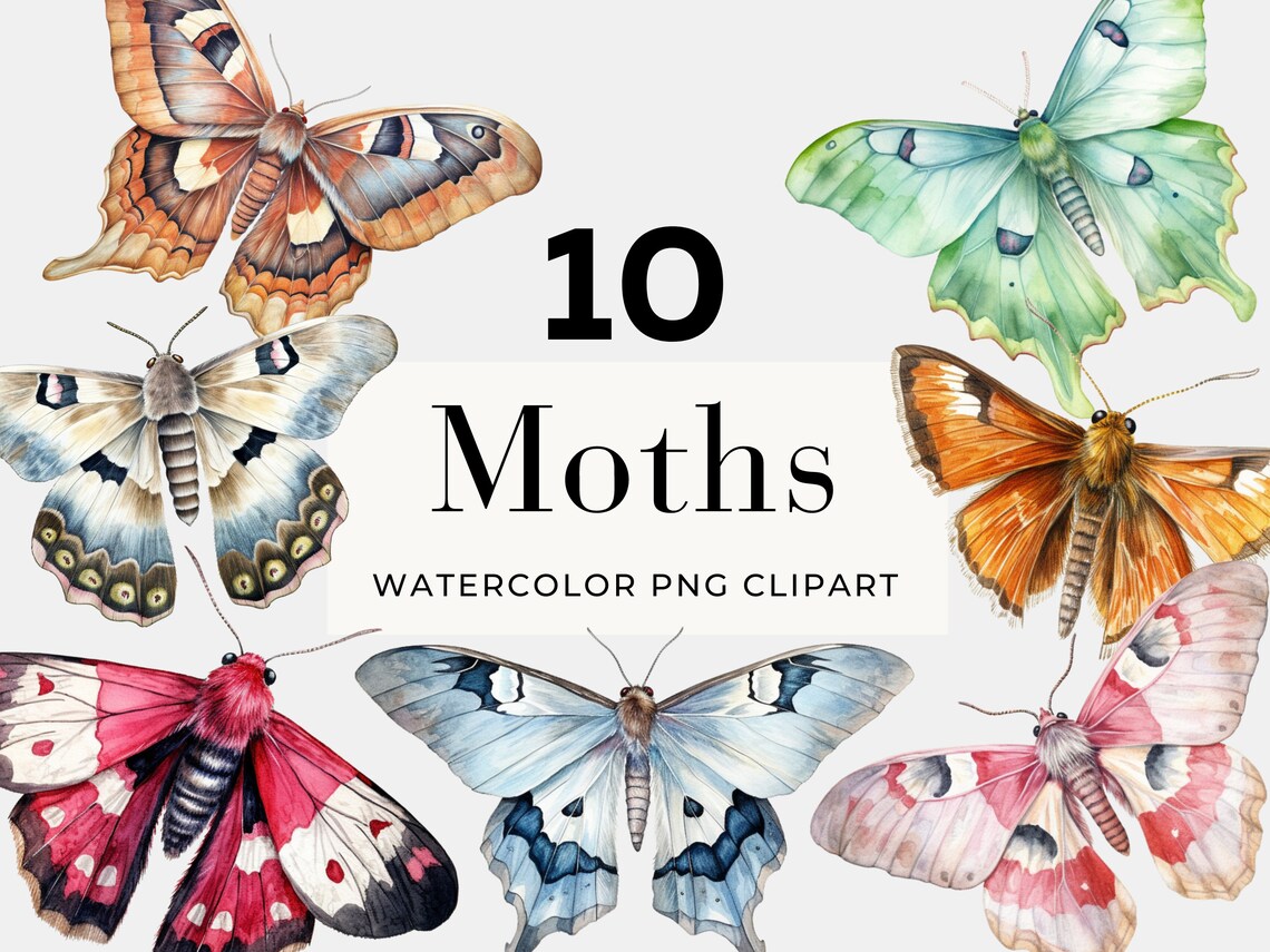 Watercolor Moth Clipart, Instant Download, Moth PNG, Vintage Moths ...