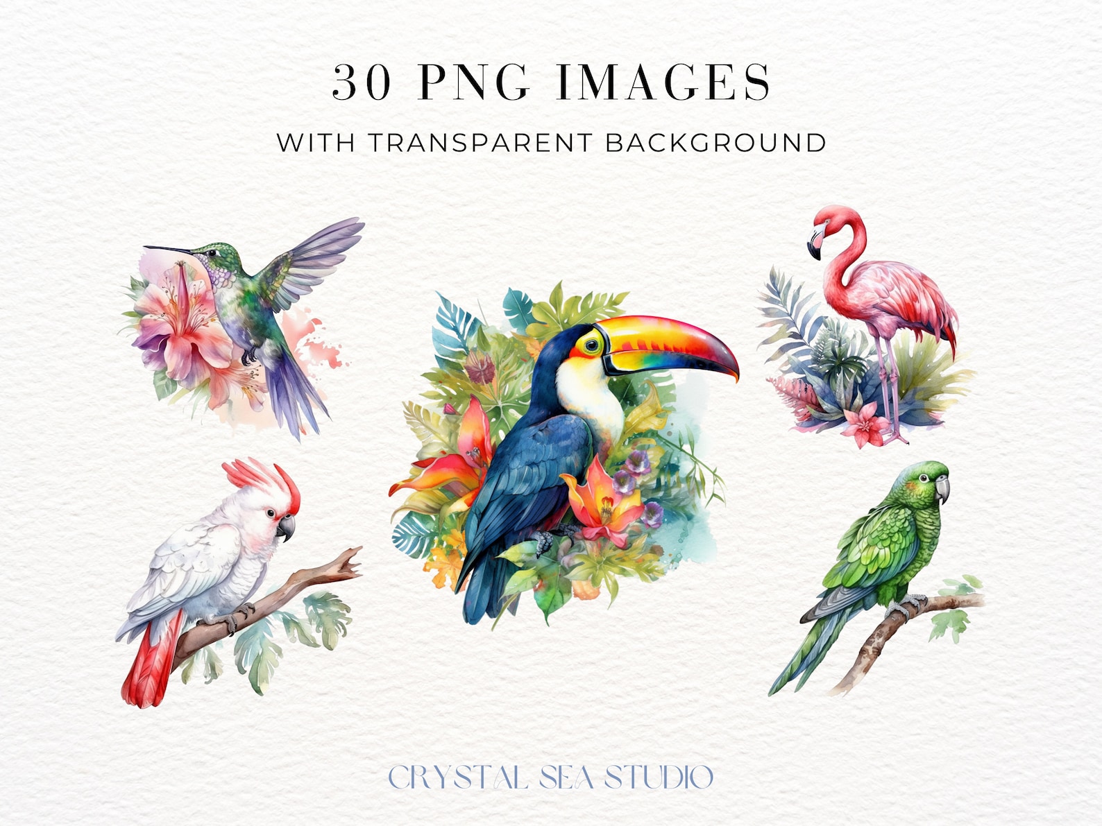 Watercolor Jungle Animal Clipart, Instant Download, Tropical Clipart ...