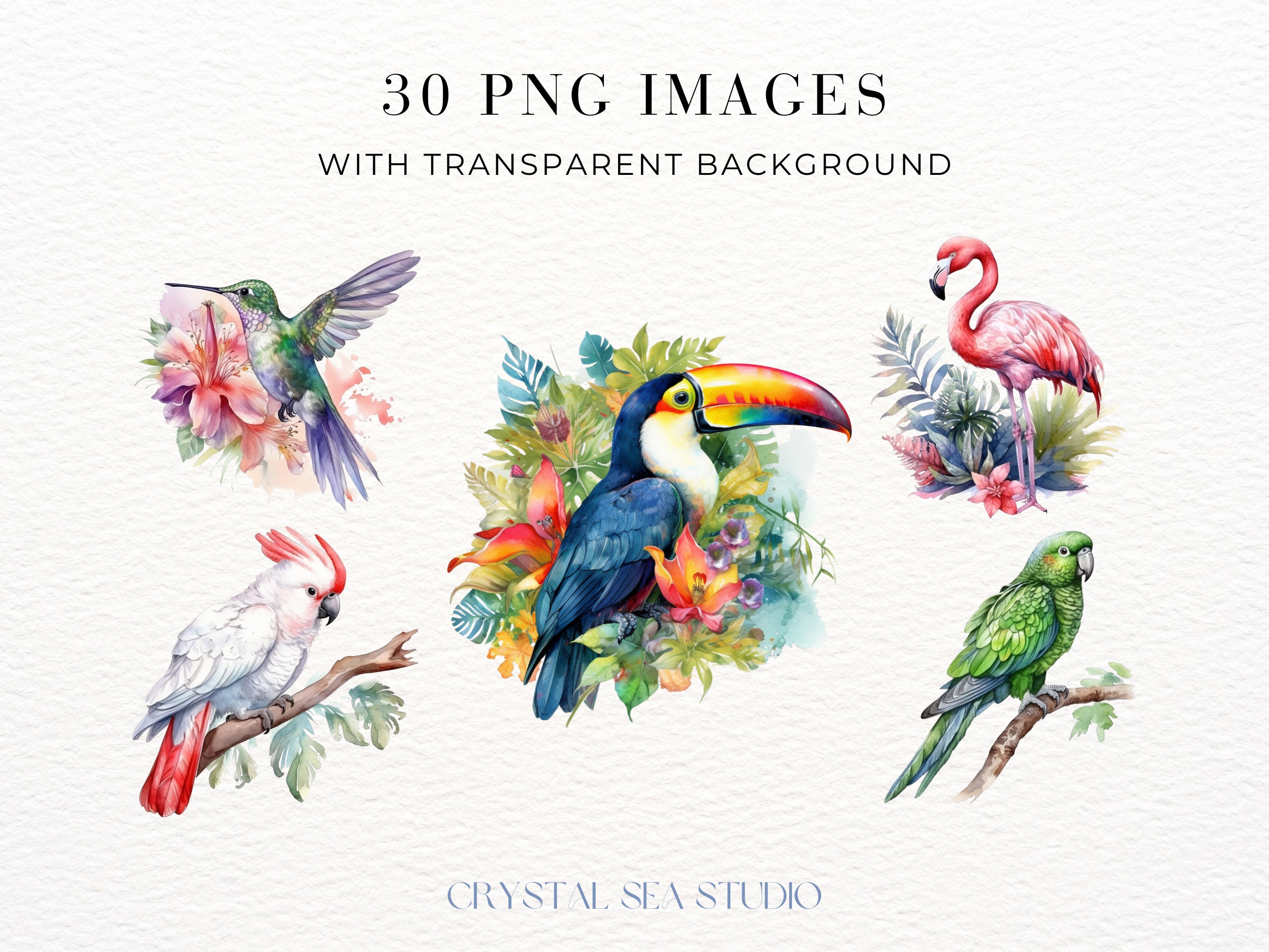 Watercolor Jungle Animal Clipart, Instant Download, Tropical Clipart ...