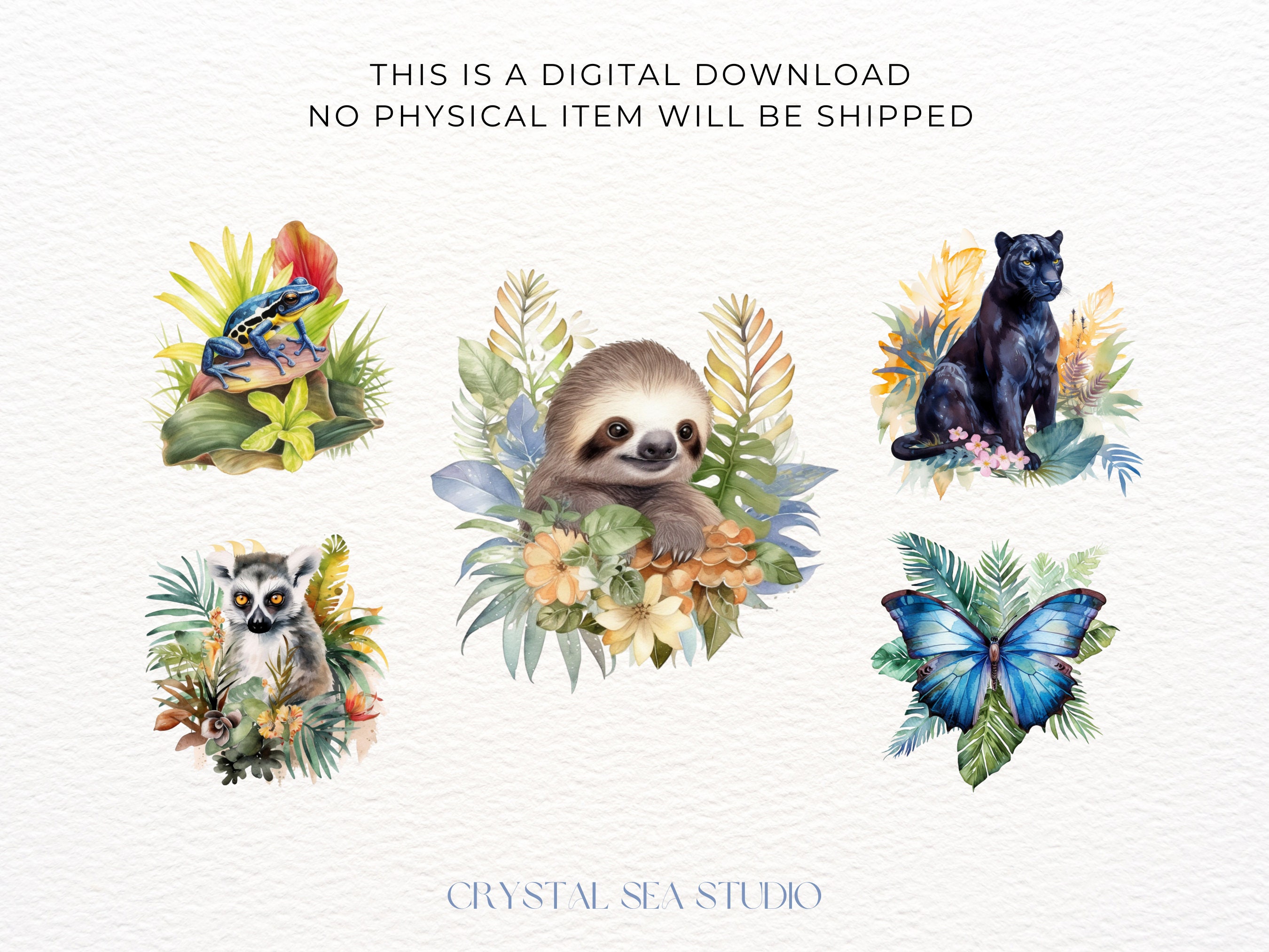 Watercolor Jungle Animal Clipart, Instant Download, Tropical Clipart ...