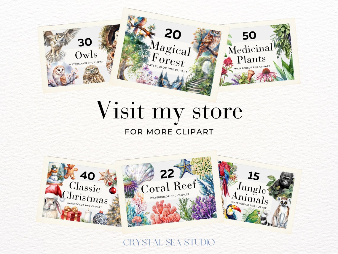 Watercolor Pirate Clipart, Instant Download, Pirate PNG, Nautical ...