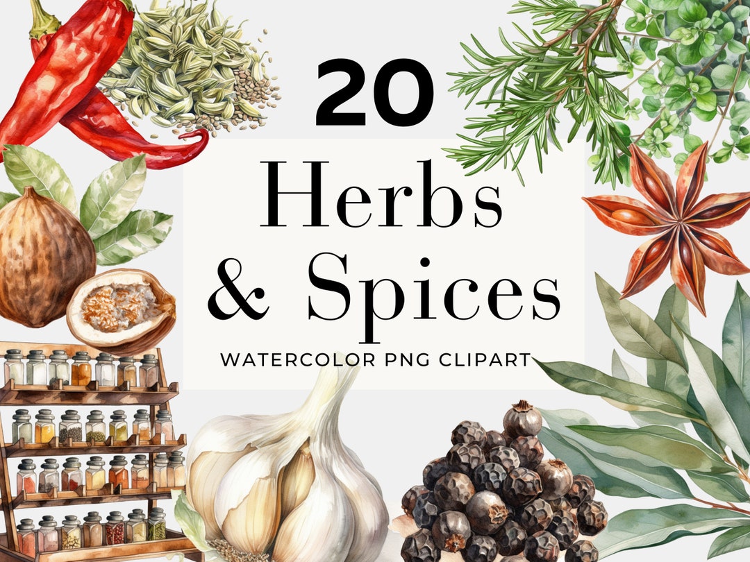 Watercolor Herbs & Spices Clipart, Commercial Use, Herb Clipart ...