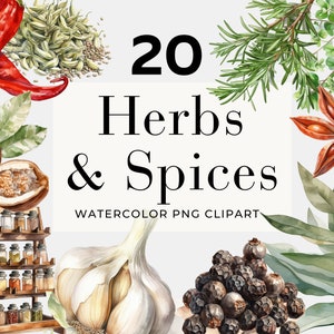 Watercolor Herbs & Spices Clipart, Commercial Use, Herb Clipart ...