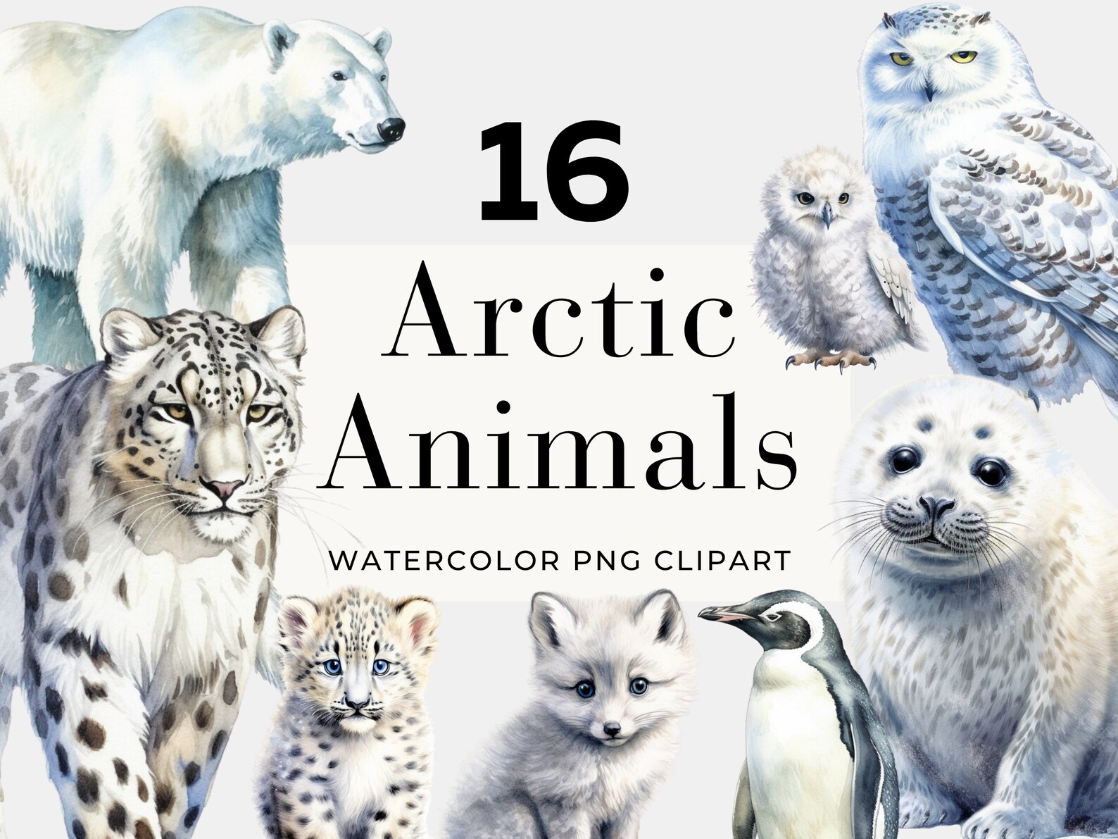 Watercolor Arctic Animal Clipart, Instant Download, Winter PNG, Winter ...