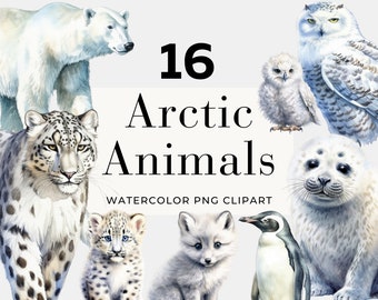 Watercolor Arctic Animals Clipart PNG Images Instant - Etsy