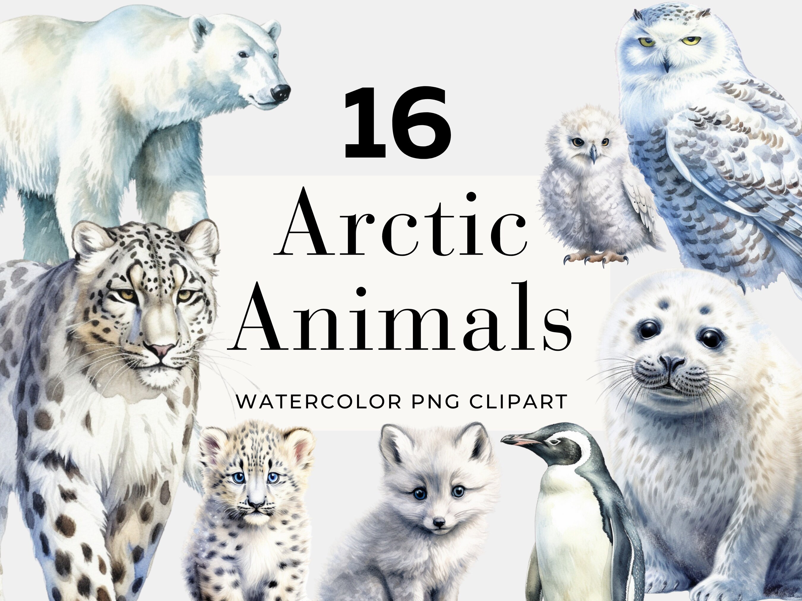 Watercolor Arctic Animal Clipart, Instant Download, Winter PNG, Winter ...