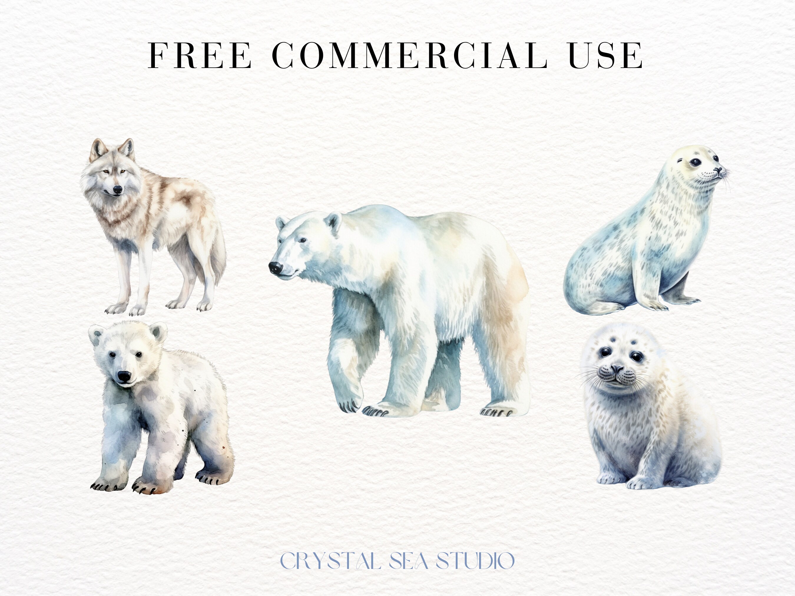 Watercolor Arctic Animal Clipart, Instant Download, Winter PNG, Winter ...