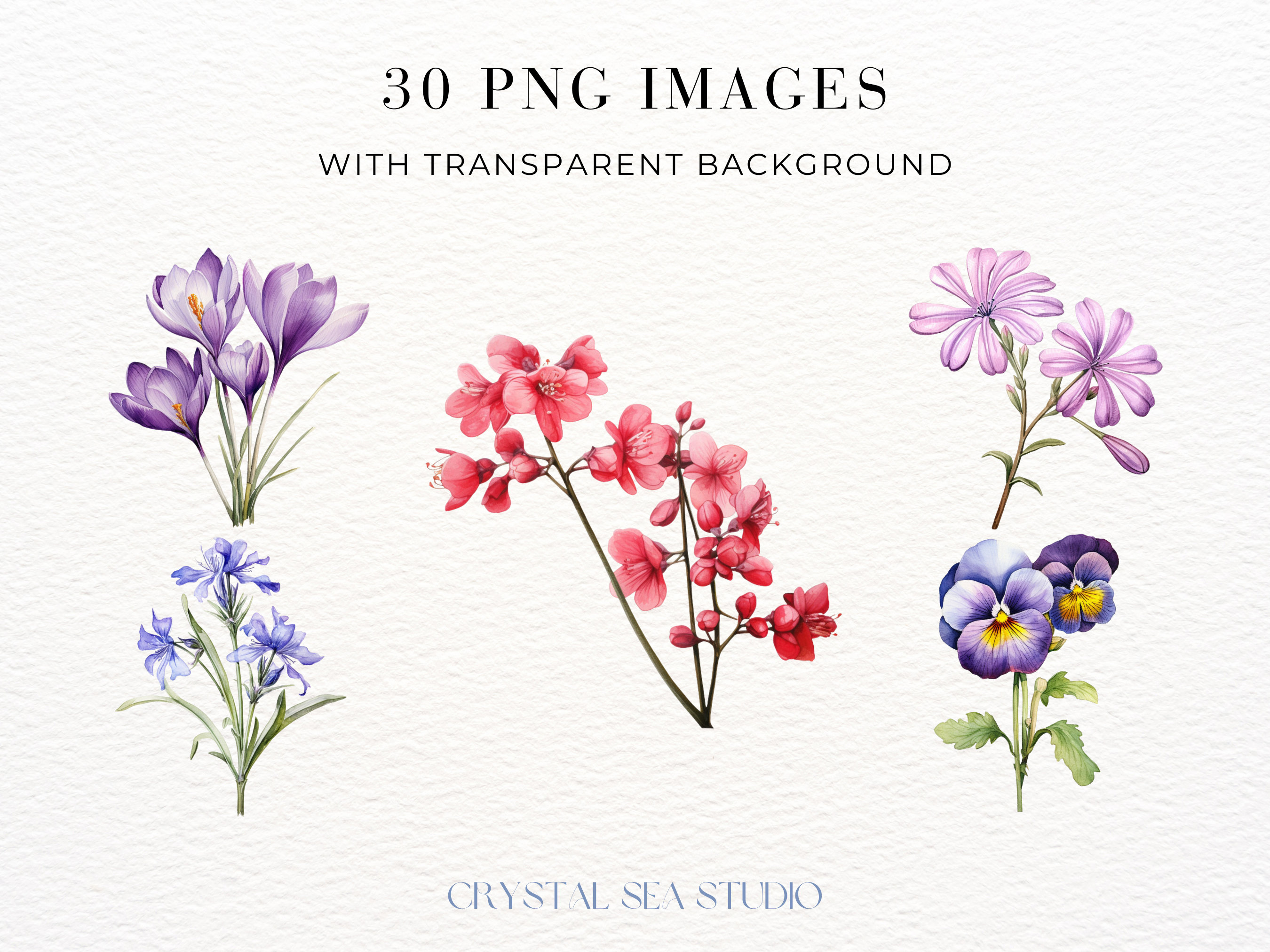 Watercolor Tiny Flower Clip Art, Instant Download, Wildflower Clipart ...