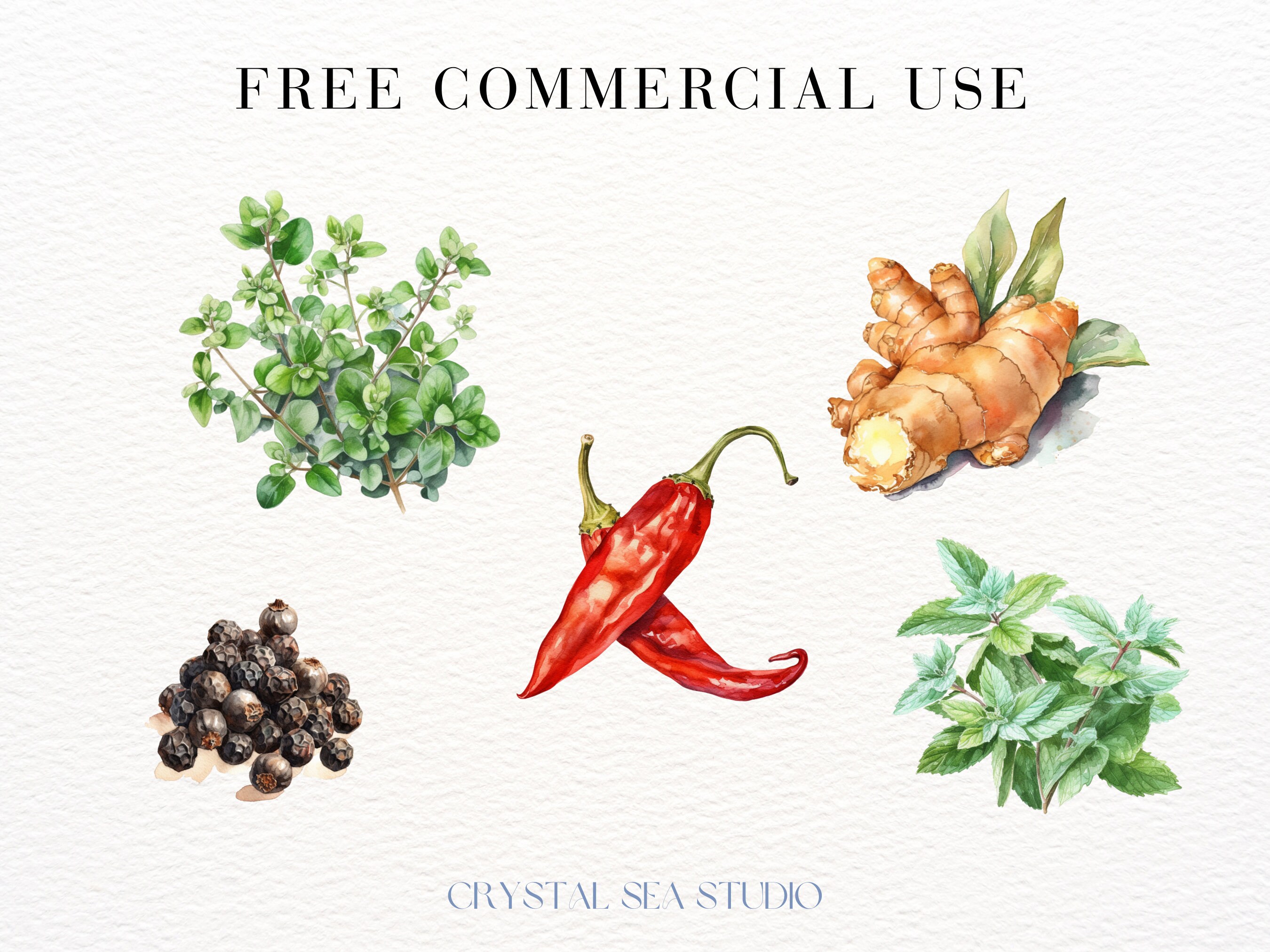 Watercolor Herbs & Spices Clipart: 20 PNG Images (commercial Use ...