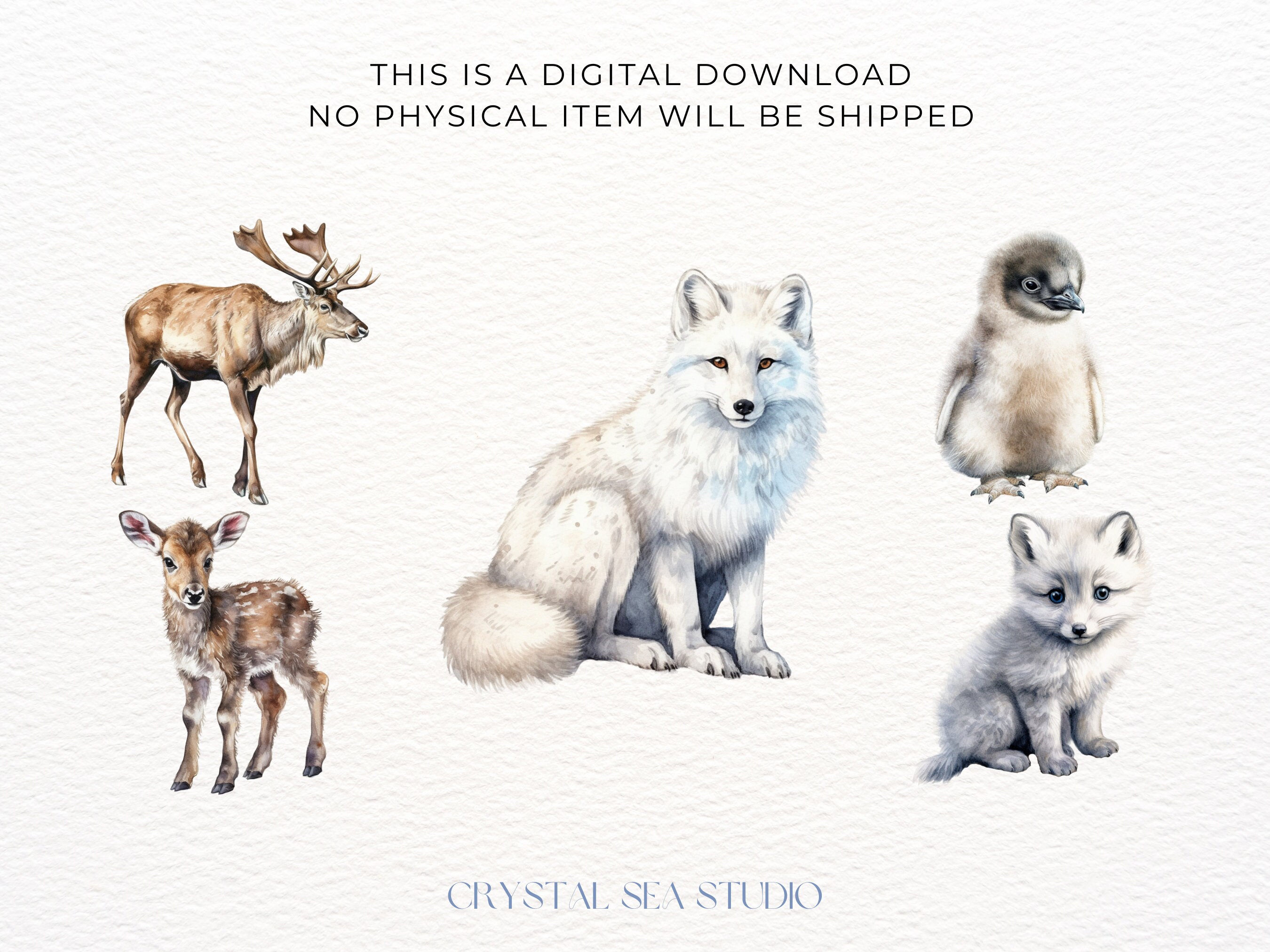 Watercolor Arctic Animal Clipart, Instant Download, Winter PNG, Winter ...
