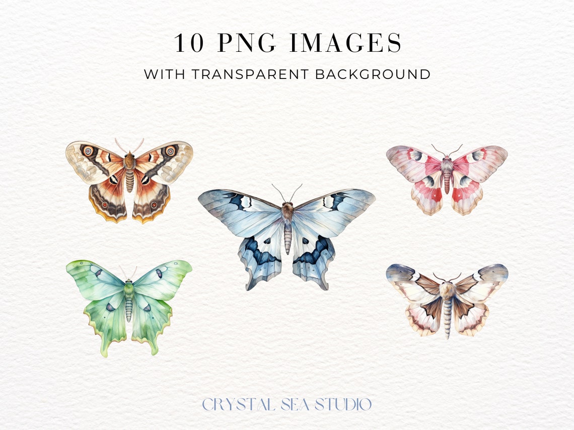 Watercolor Moth Clipart, Instant Download, Moth PNG, Vintage Moths ...