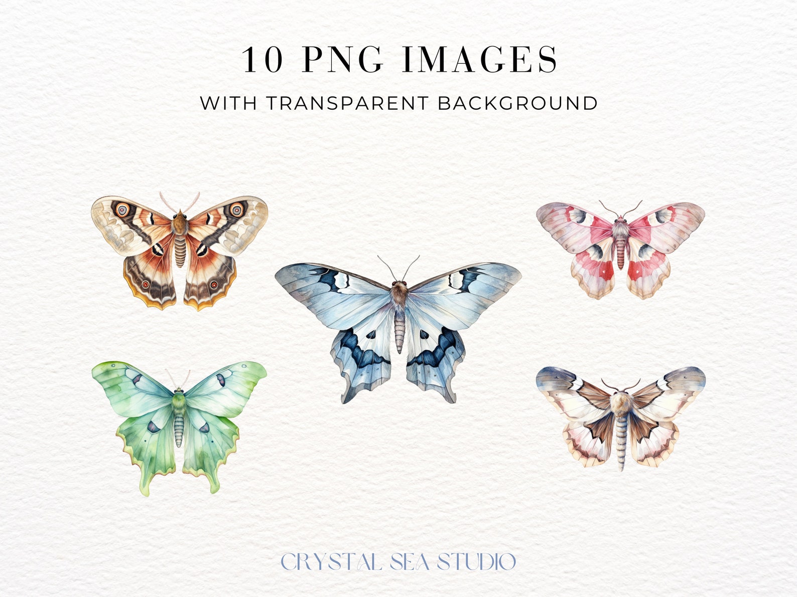 Watercolor Moth Clipart, Instant Download, Moth PNG, Vintage Moths ...