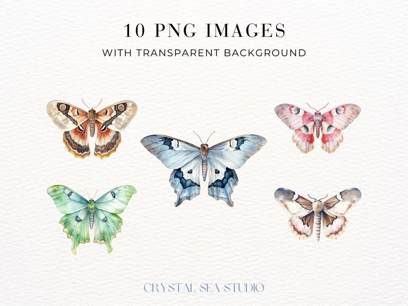 Watercolor Moth Clipart, Instant Download, Moth PNG, Vintage Moths ...