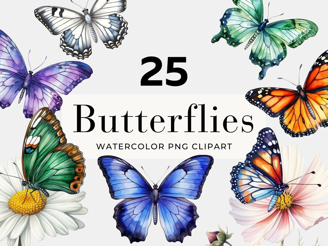 Watercolor Monarch Butterfly Clipart, Instant Download, Butterfly PNG ...