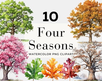 Four Seasons Trees Clipart Clip Art Spring Summer Winter Fall - Etsy