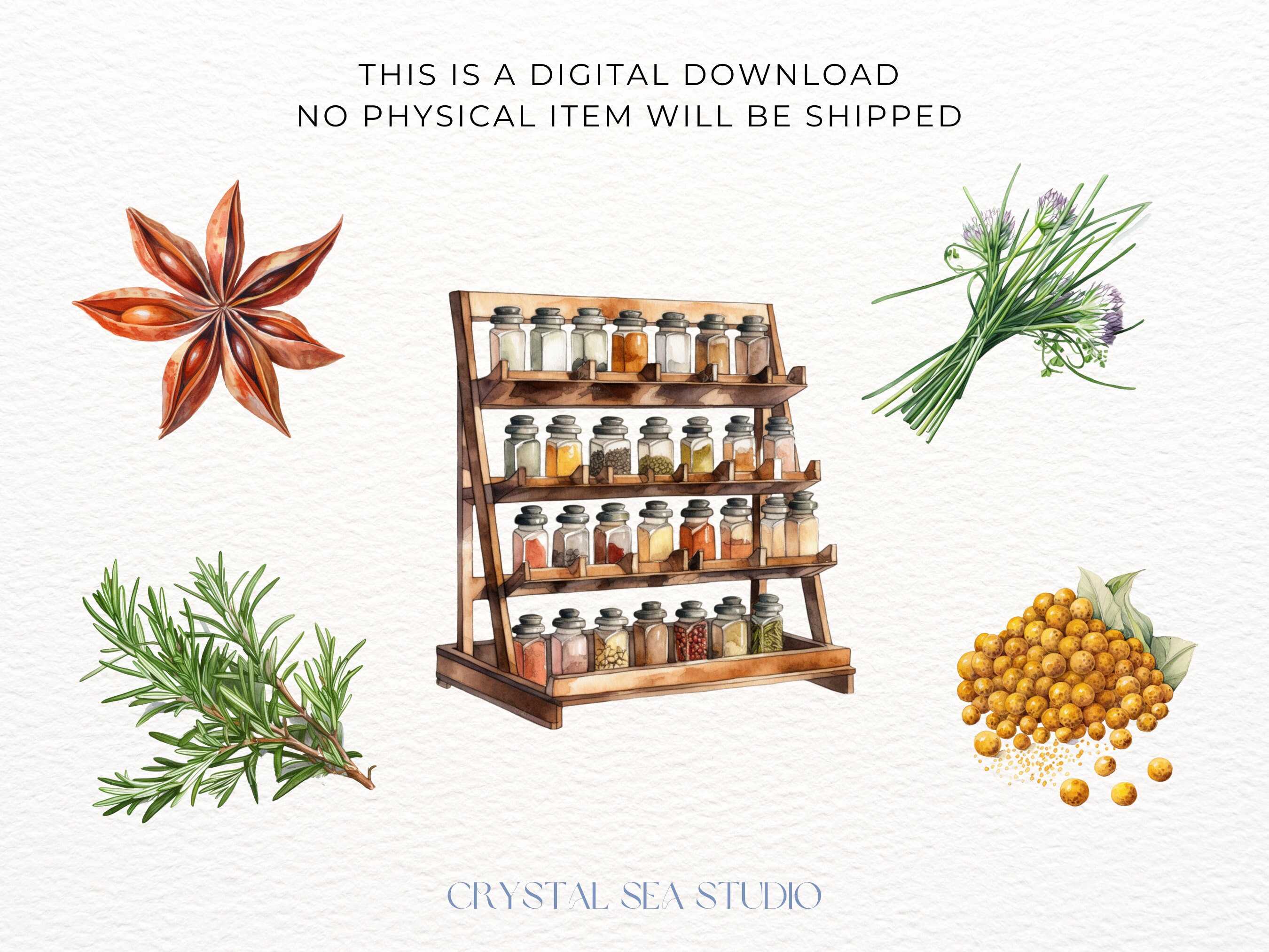 Watercolor Herbs & Spices Clipart Commercial Use Herb - Etsy